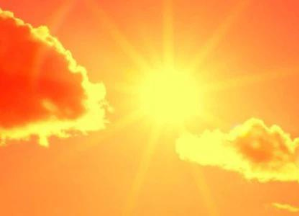 Rickets - Not Just a Disease for Old People – Alpacas of Montana