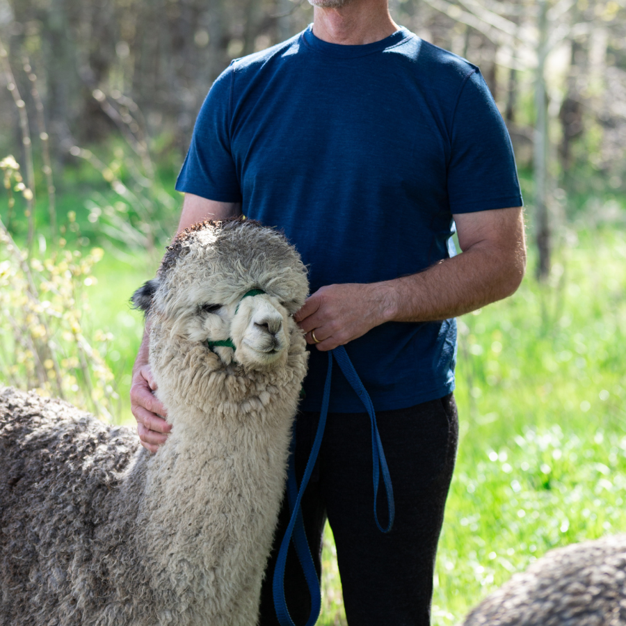 Alpaca Mens Clothing Collection | Alpacas of Montana