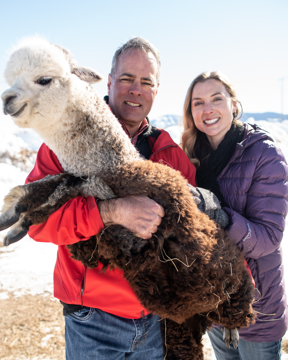 About Our Alpaca Farming Story | Alpacas of Montana