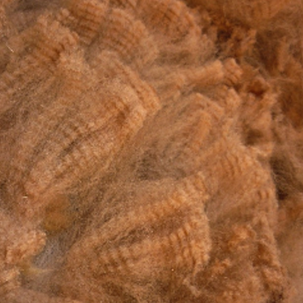 Alpaca Fleece and Alpaca Fiber 100% Natural Raw Alpaca - Alpacas of Montana